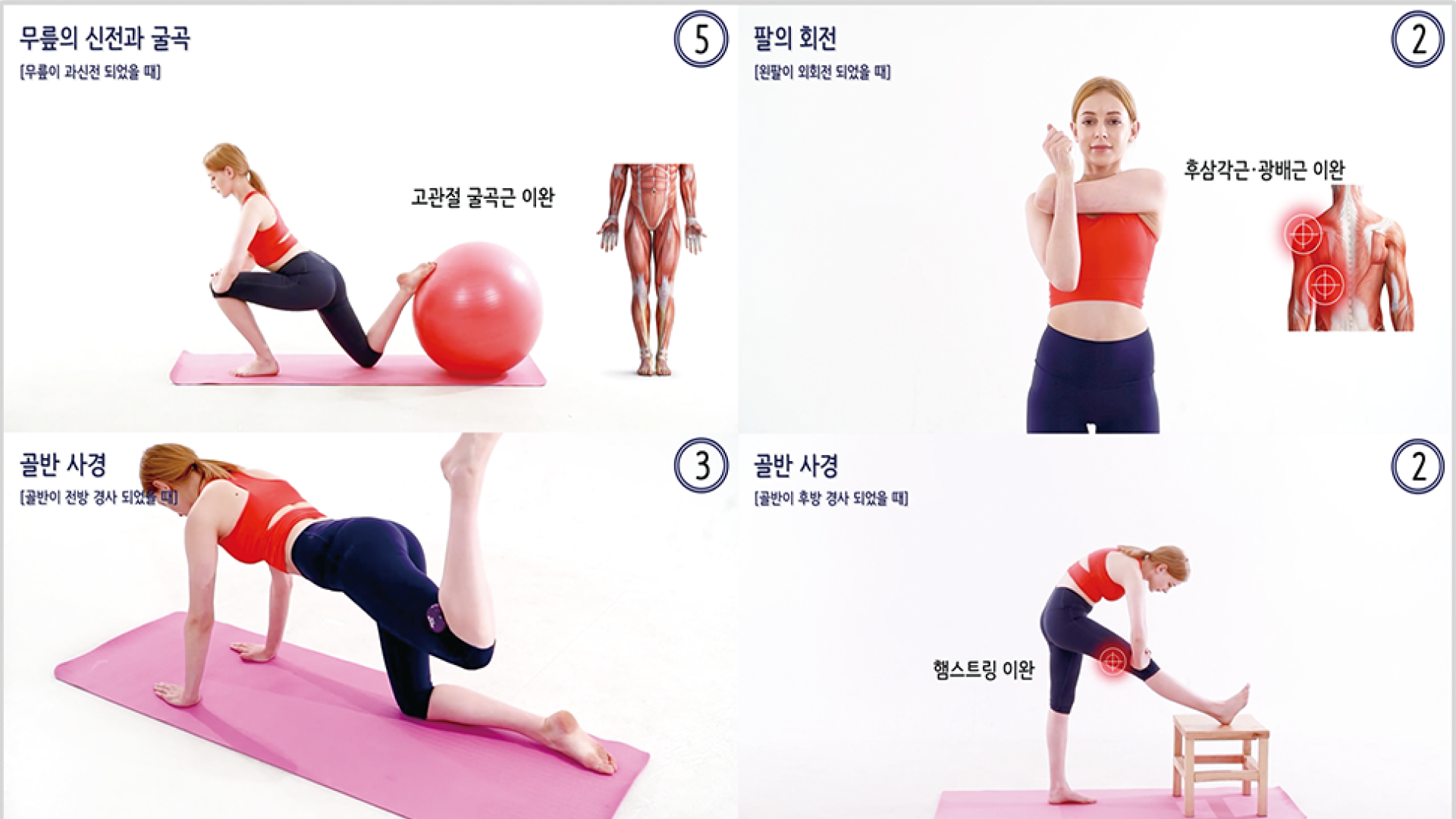 SPOEX Exhibition Equipment Part 1: 3D real-time body shape/motion ...